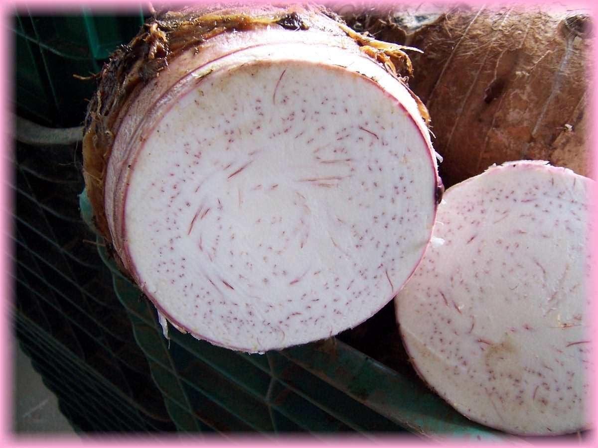 July 30th-31st - It's Time for some Taro! - O‘ahu Fresh