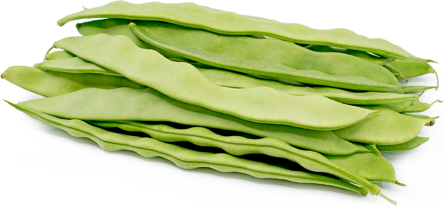 Romano Beans - O‘ahu Fresh