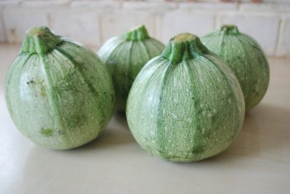 Round Squash - O‘ahu Fresh