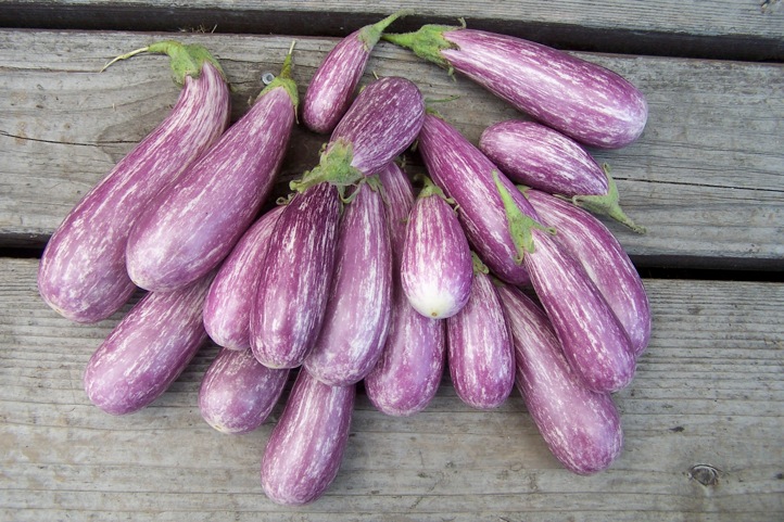 Hapa Eggplant - O‘ahu Fresh