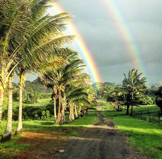 OK Farms - O‘ahu Fresh