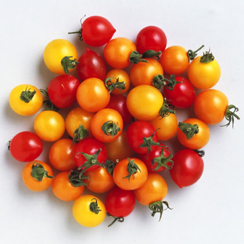 Mixed Tomatoes - O‘ahu Fresh